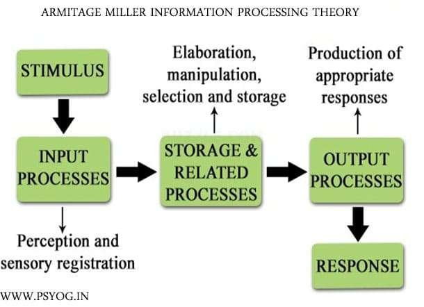 Master Your Mind Psyog